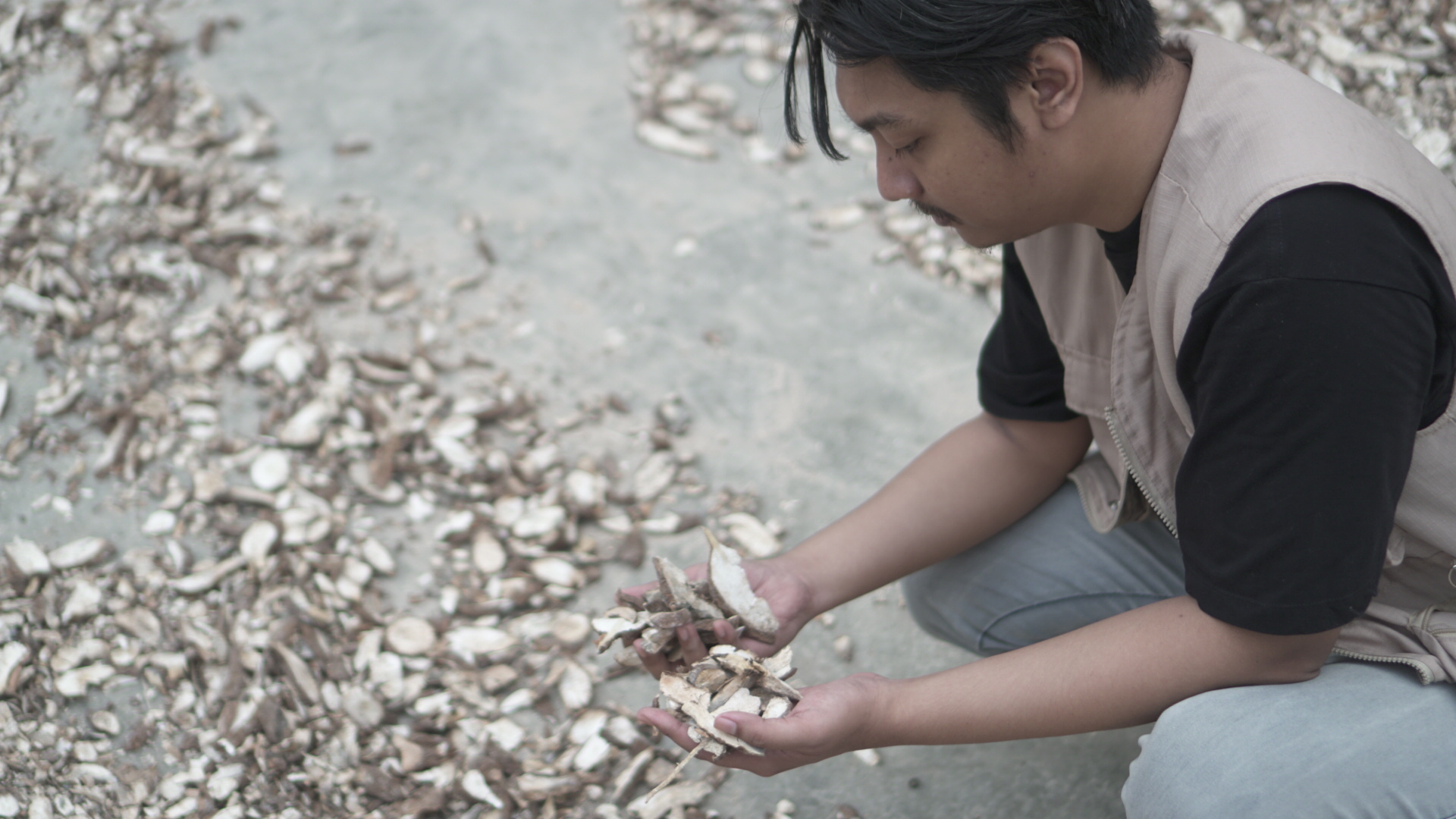 Harga Gaplek Singkong Per Kg Terbaru: Lengkap & Terkini!